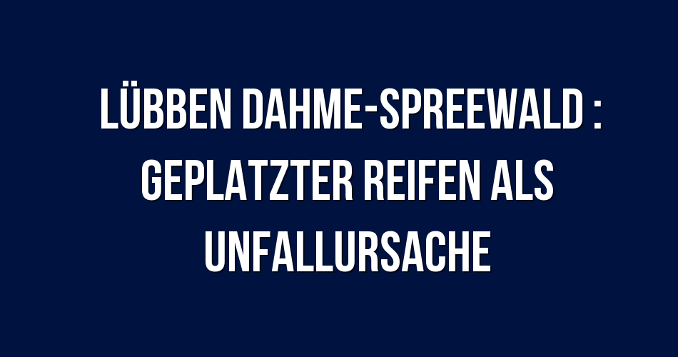 Polizeibericht Lübben Dahme-Spreewald : Geplatzter Reifen als Unfallursache