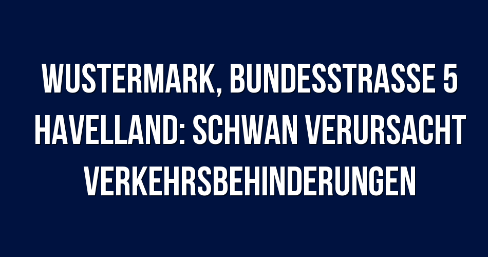Polizeibericht Wustermark, Bundesstraße 5 Havelland: Schwan verursacht ...
